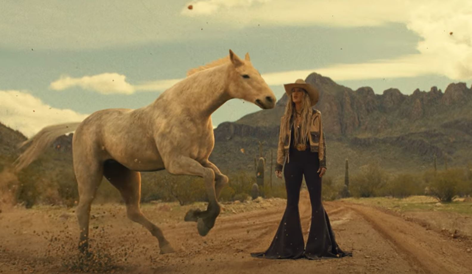Lainey Wilson "Wildflowers and Wild Horses" Offical Video - Megan on ...